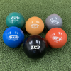 Plyo Balls (w/ drill guide) • RPP Baseball Store